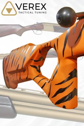 Blaser R8 Professional 8x57 IS + Carbonschaft + Schalldämpfer